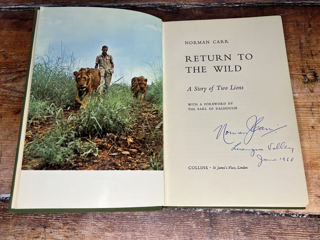 Return to the Wild – StrangeBooks