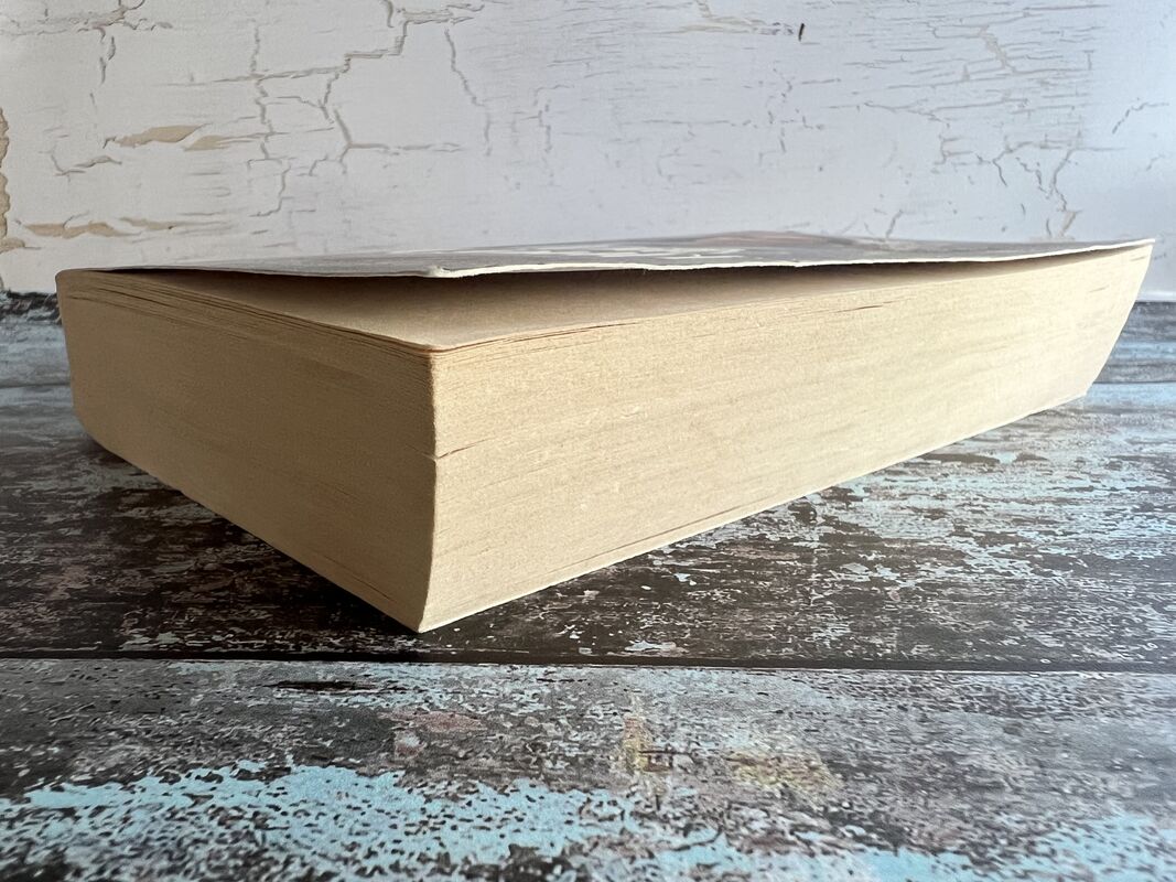 The Swan Maid – StrangeBooks